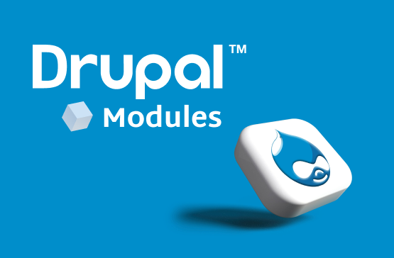 Top 6 of Drupal's best modules | Blog WebstanZ